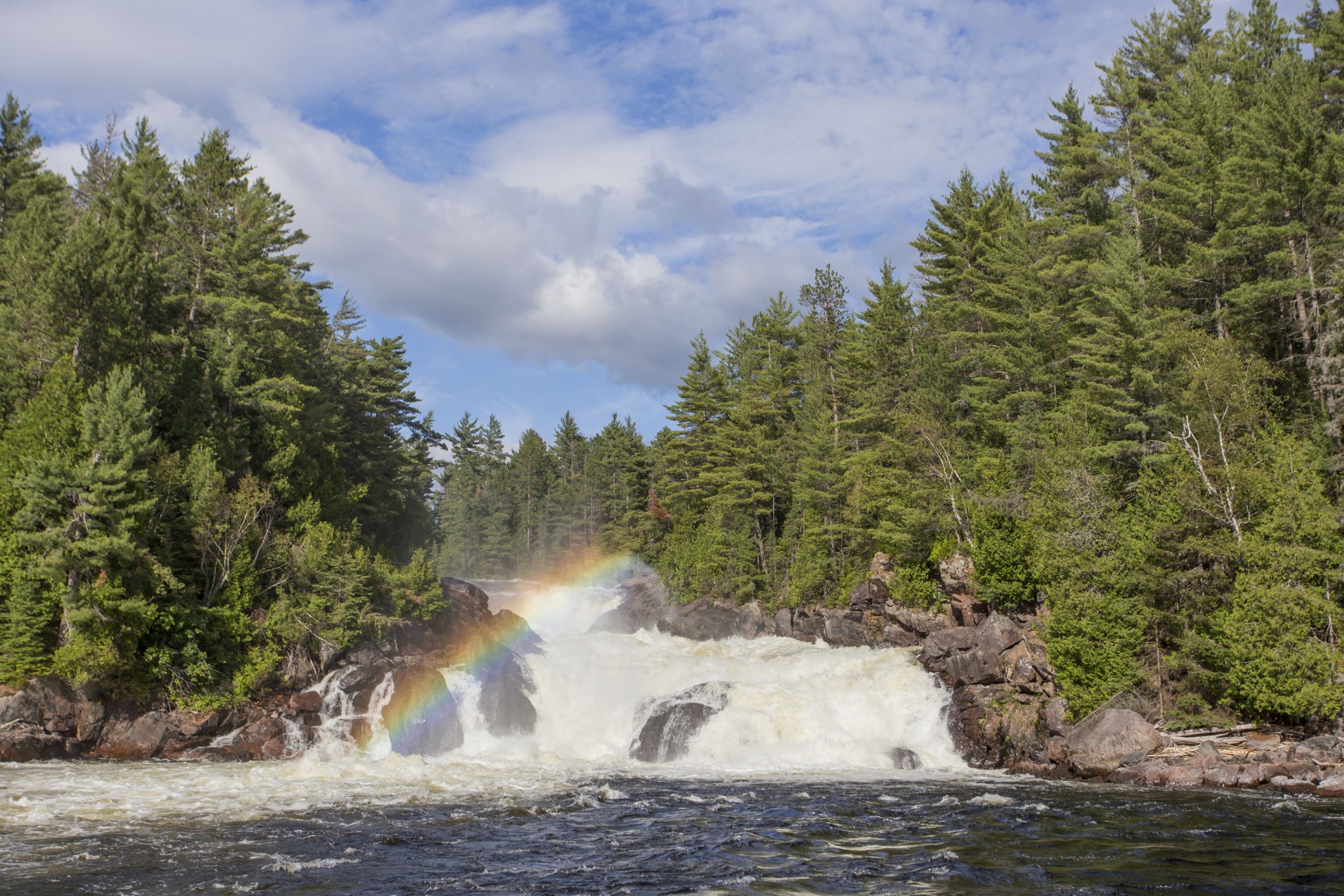 PHOTOGRAPHIES - PARC NATIONAL D'OPÉMICAN | L'Indice bohémien